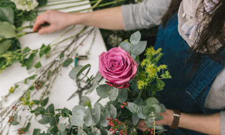 Jenis-Jenis Bunga, Mengungkap Keindahan dan Pesan di Baliknya